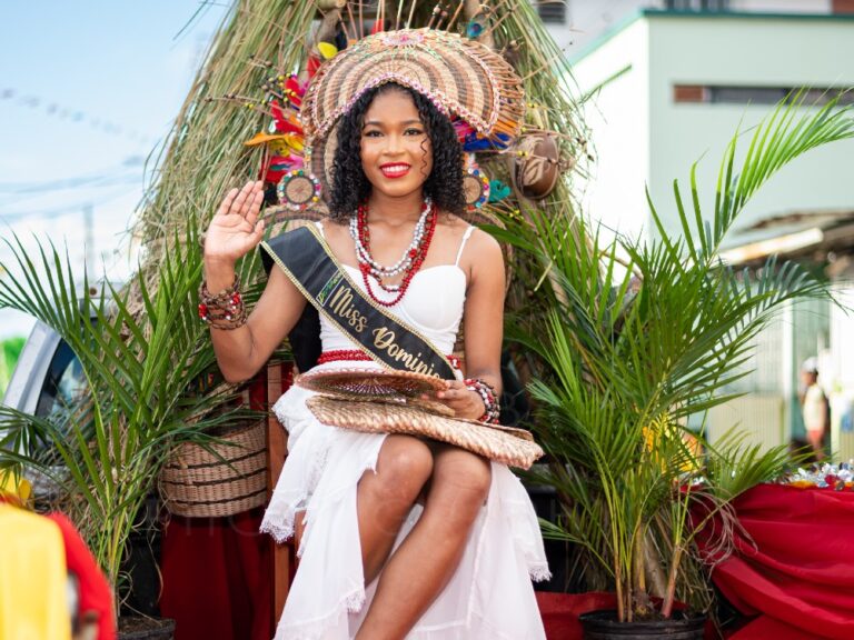 Opening of Dominica's Carnival 2023 in picture • Nature Isle News