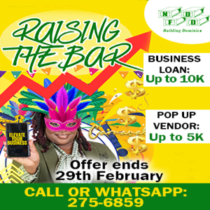 The countdown for Mas Dominik begins • Nature Isle News