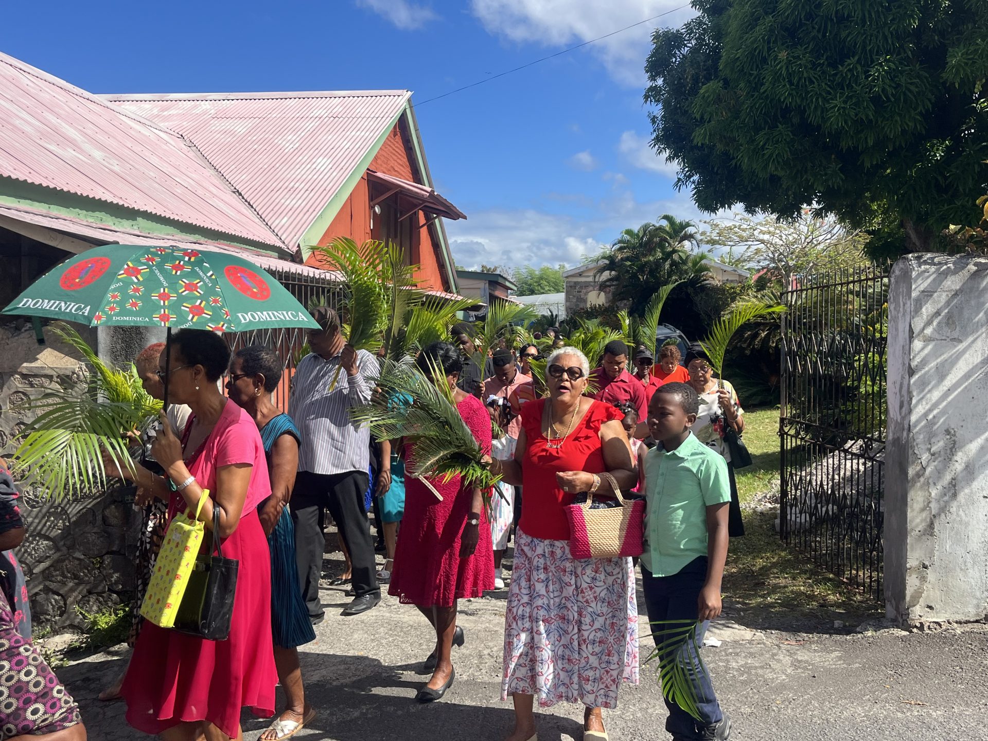 Palm Sunday celebrations at the National Shrine Pointe Michel • Nature ...