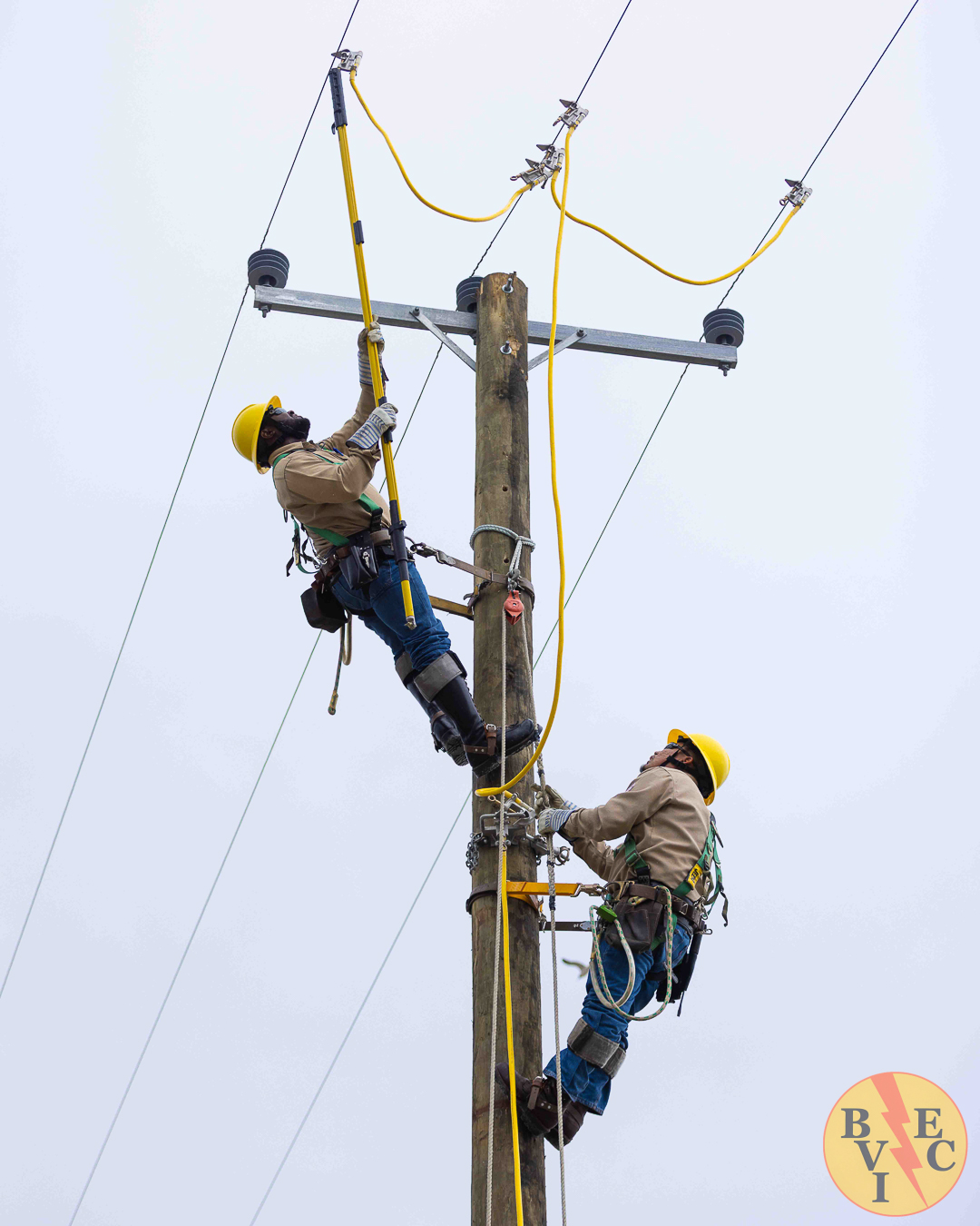 Caribbean lineworkers to gather in Dominica for the 2026 CARILEC ...